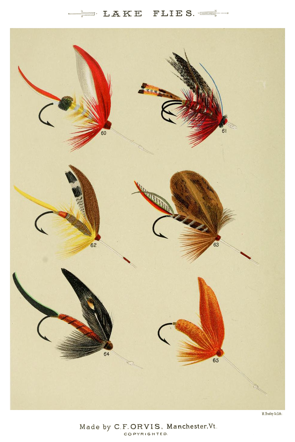 Orvis – Plate I – FOS