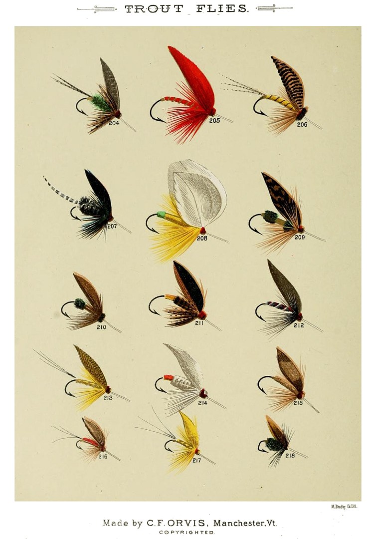 Orvis – Plate U – FOS