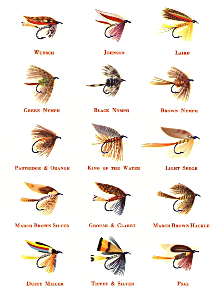 Sportsman Guide across Canada – Plate E – FOS