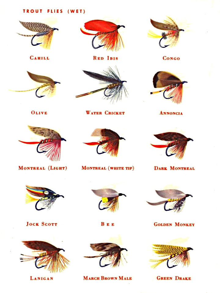 Sportsman Guide across Canada – Plate F – FOS