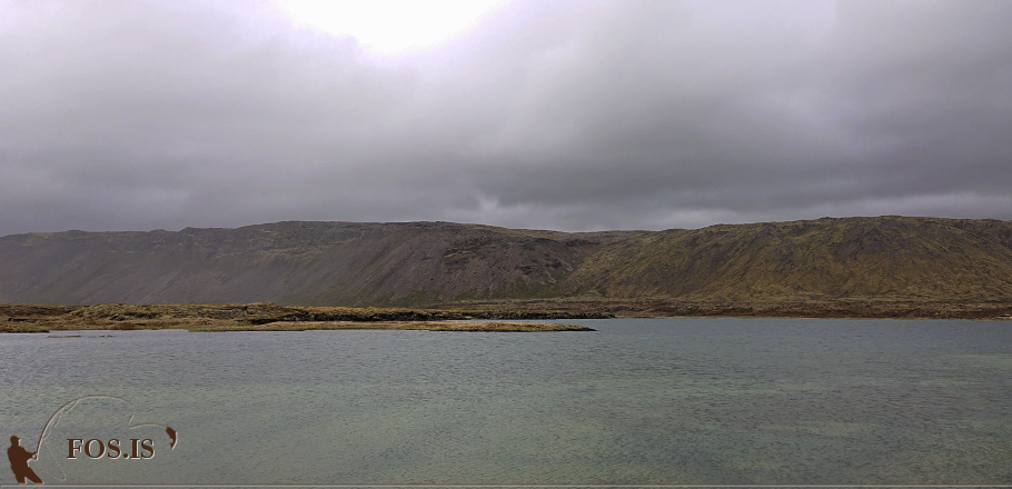 Hlíðarvatn í Selvogi 25. maí 2020 – FOS