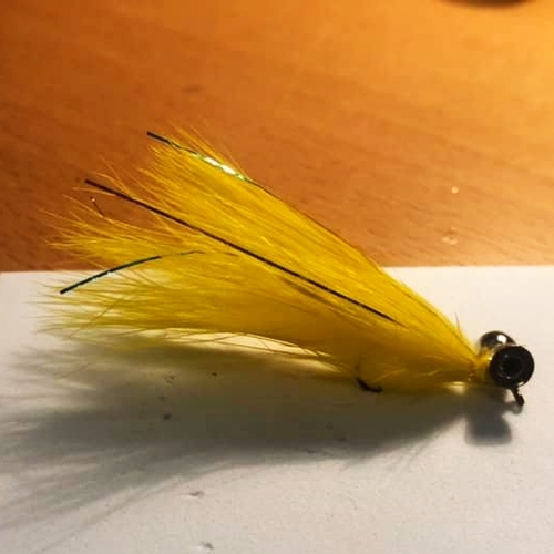 Ingvar Thor Gudjonsson 002 – FOS