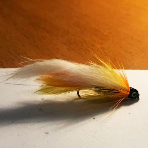 Ingvar Thor Gudjonsson 003 – FOS