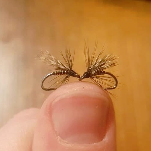 Ólafur Hilmar Foss 009 – FOS