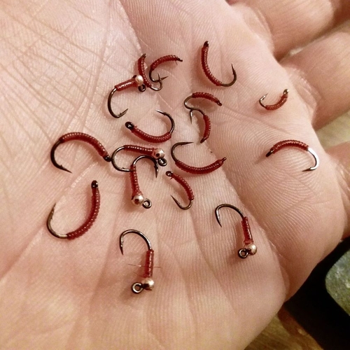 Ólafur Hilmar Foss 015 – FOS